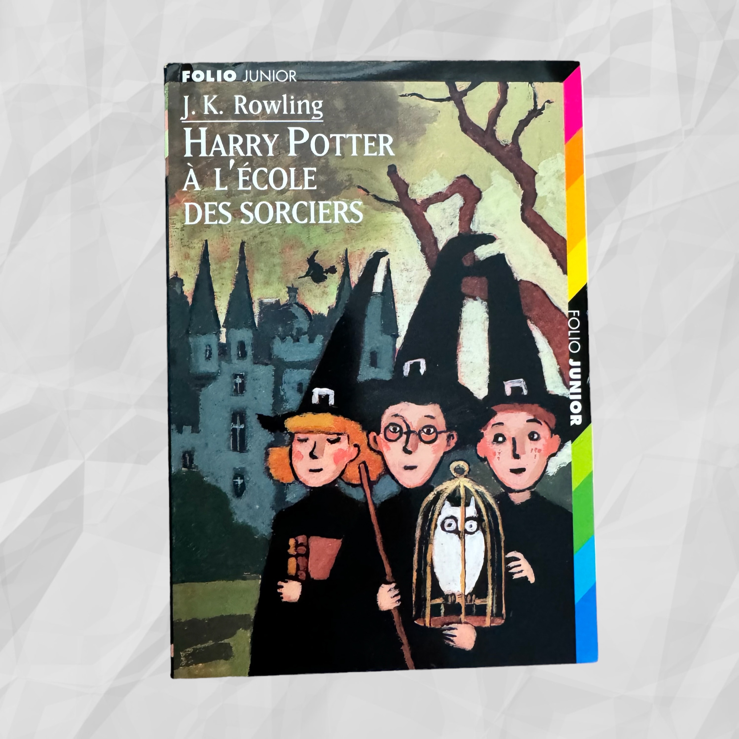 Harry Potter and the Philosophers / Sorcerers Stone, French Translation ...